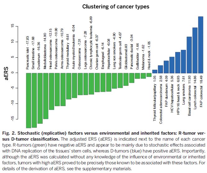 Is Cancer Caused by Bad Luck?